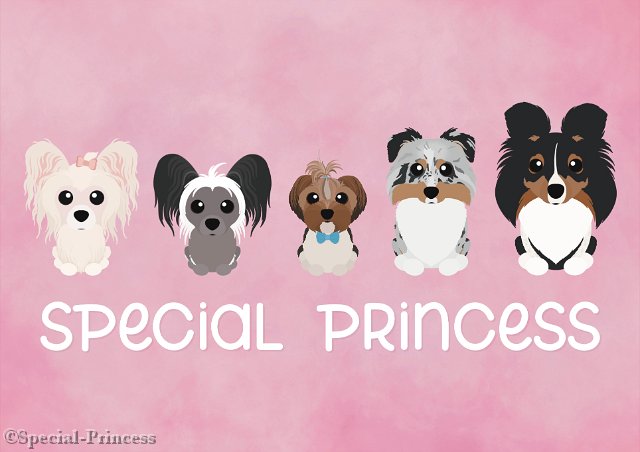 Special Princess