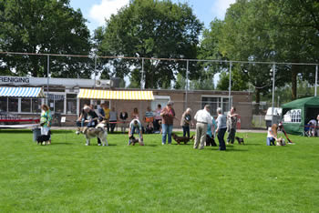 Special Princess - weblog